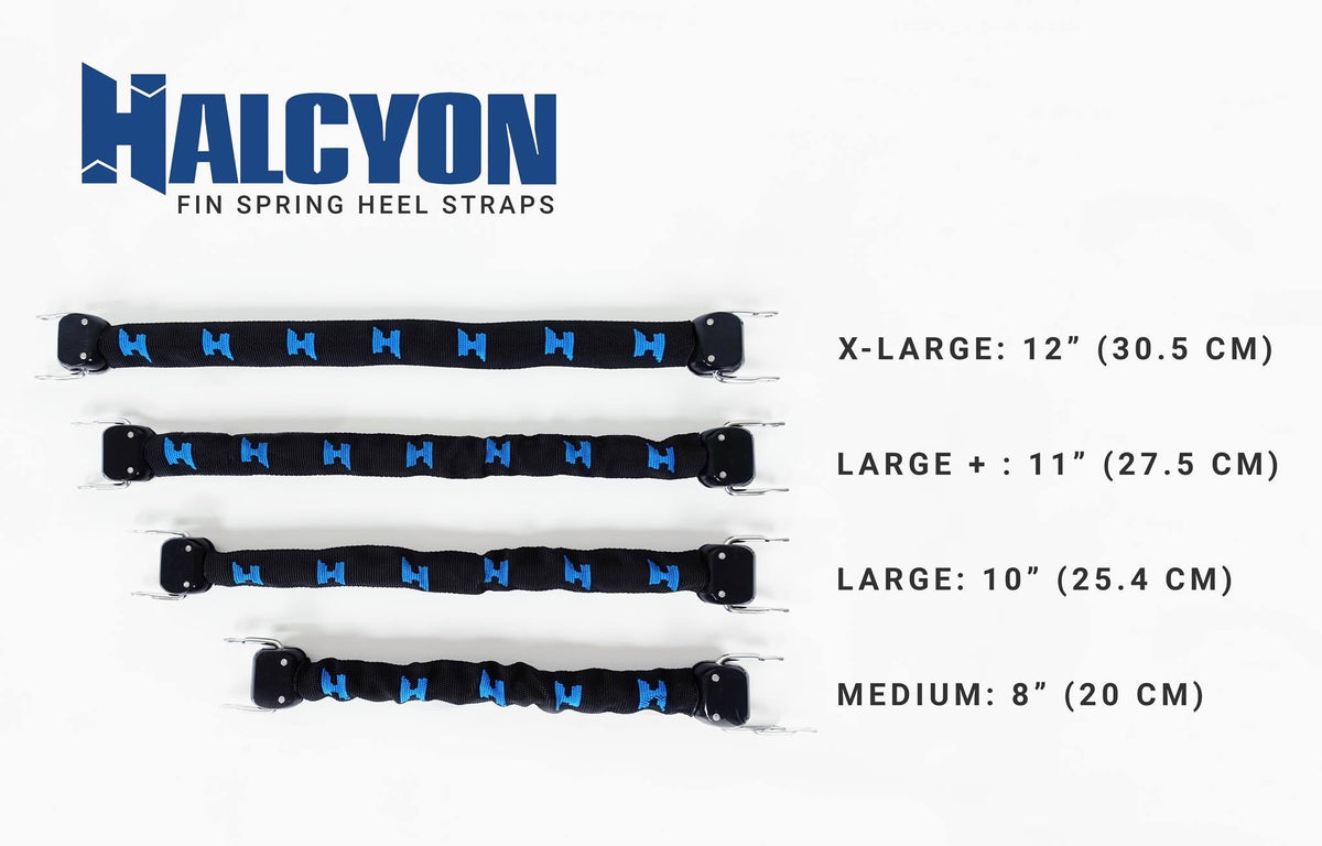Halcyon Spring Heels for Jet Fin-style Fins – Living Oceans Malaysia